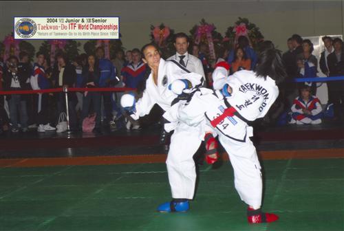 ITF Ireland Soars : International Taekwon-Do Federation ITF